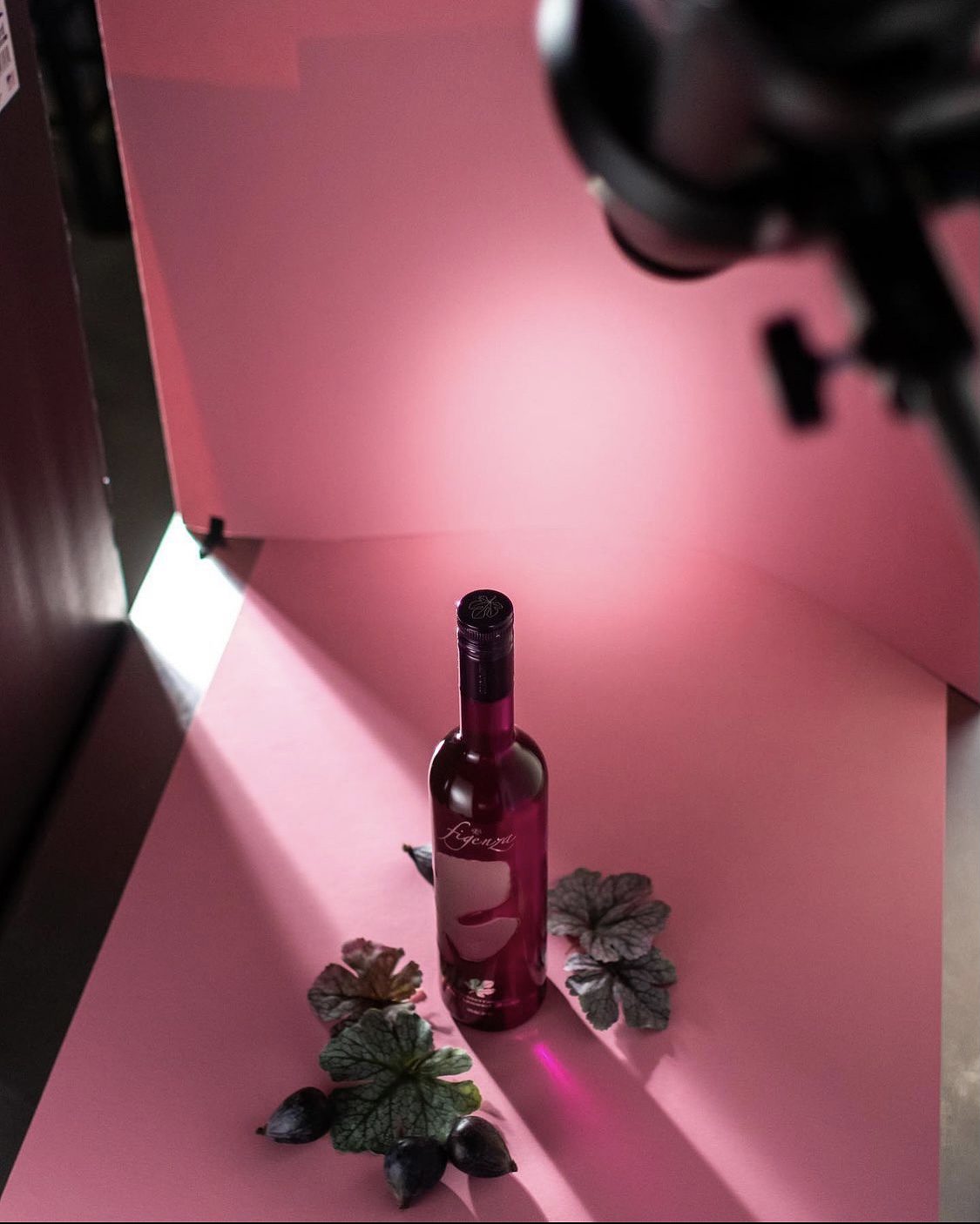 The Ultimate Product Photography Lighting Setup & Tips - GVM Official Site