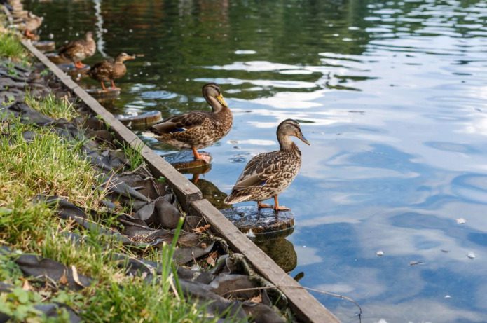 The Balance Method: Using Balance in Photography to Create Beautiful ...