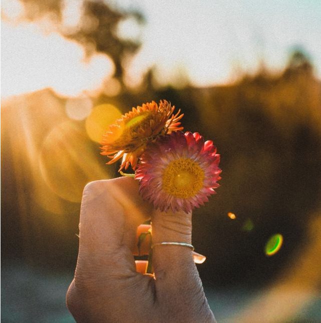 How should the photographer prevent glare from the lens - GVM Official Site