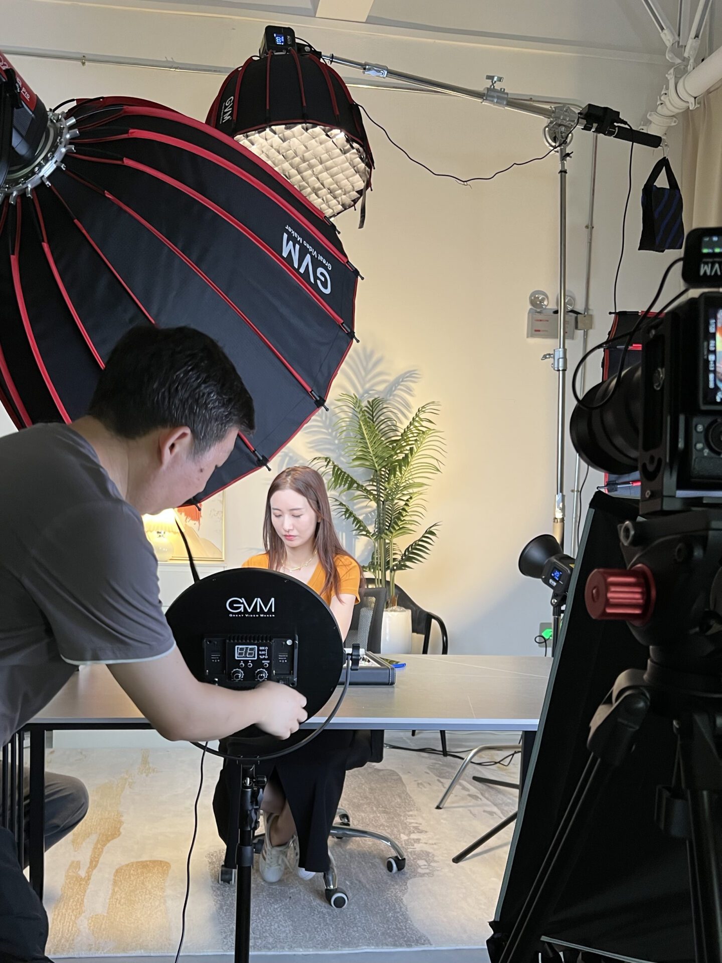 Building a professional photography studio: Building guidelines and ...